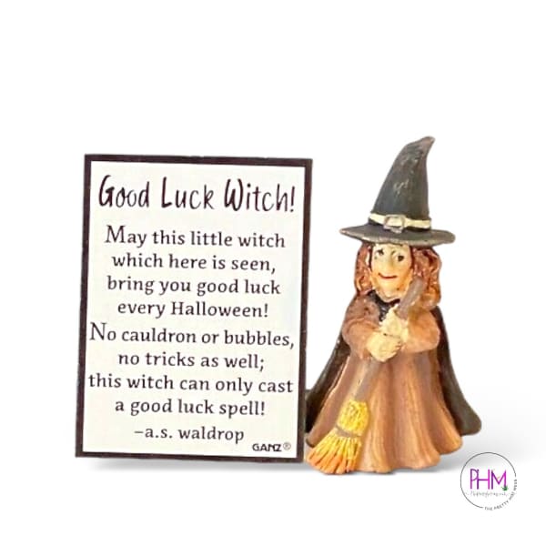 Good Luck Witch Pocket Witch 🧙🏼 The Pretty Hot Mess