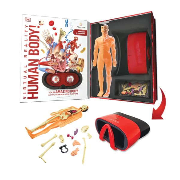 VR Human Body Gift Set The Pretty Hot Mess