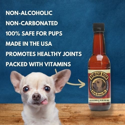 Bowser Beer The Pretty Hot Mess