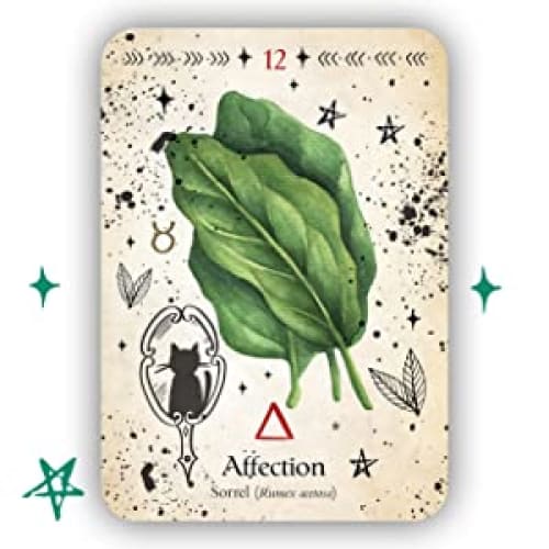 Green Witch Oracle Cards The Pretty Hot Mess